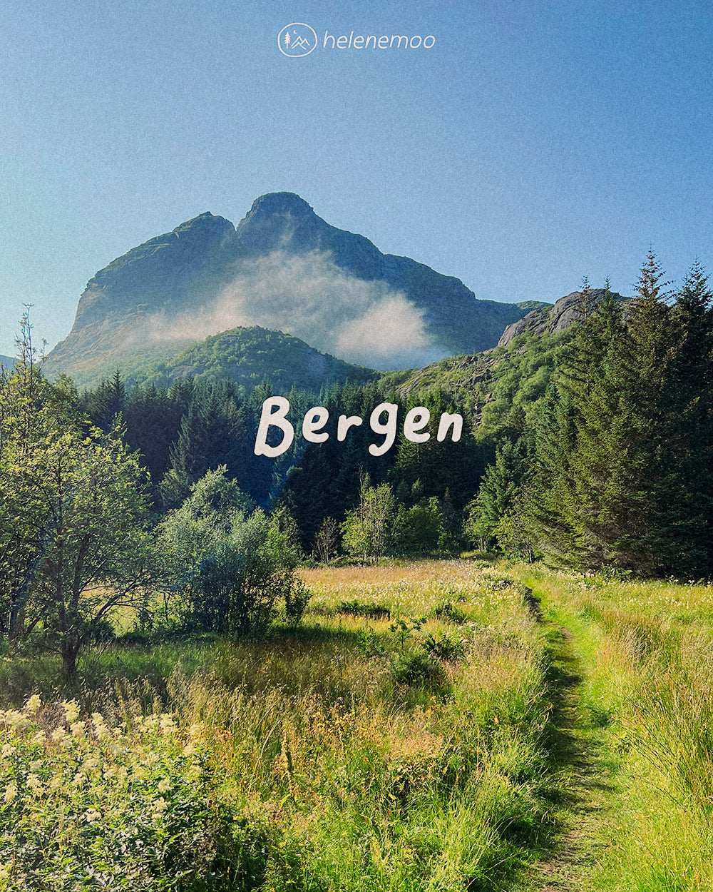 Collections | helenemoo